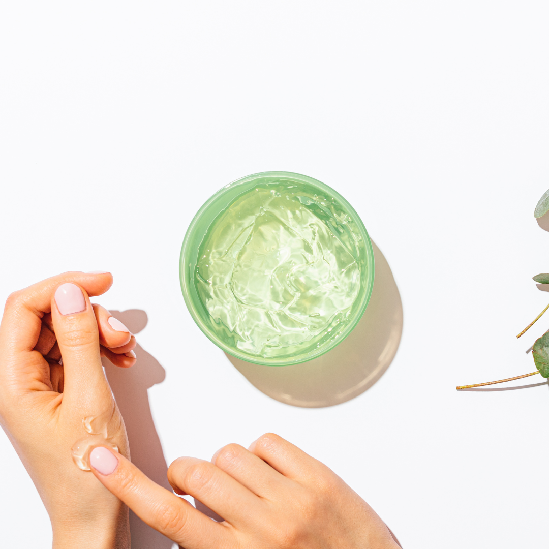 Ingredient Highlight: Aloe Vera – Hark & Zander