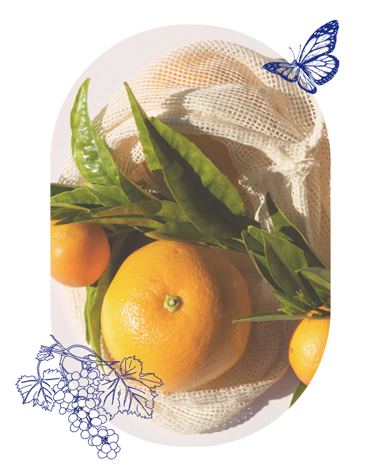 Proven By Nature & Science | Hark & Zander | NZ Made